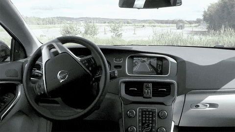 Automated GIFs on Giphy