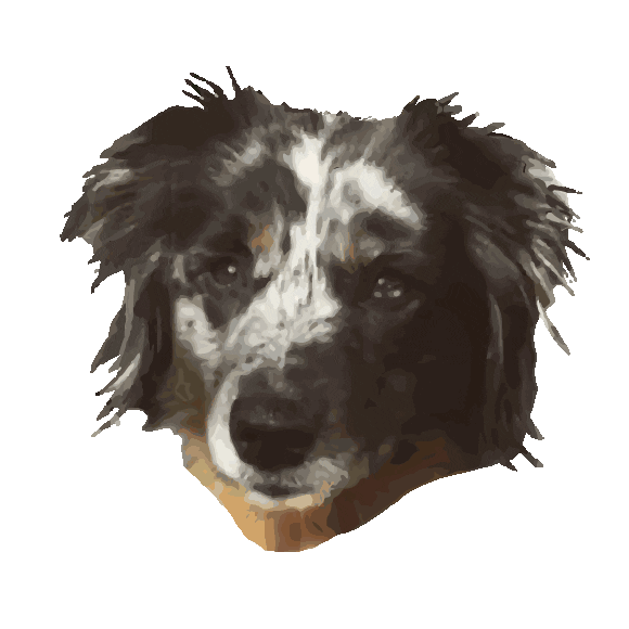 Dog Aussie Sticker by Coss for iOS & Android | GIPHY