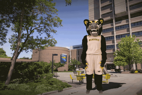 Campus Pounce GIF by UW-Milwaukee - Find & Share on GIPHY
