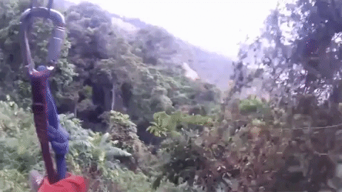 Costa Rica Sport GIF by jorgemariozuleta - Find & Share on GIPHY