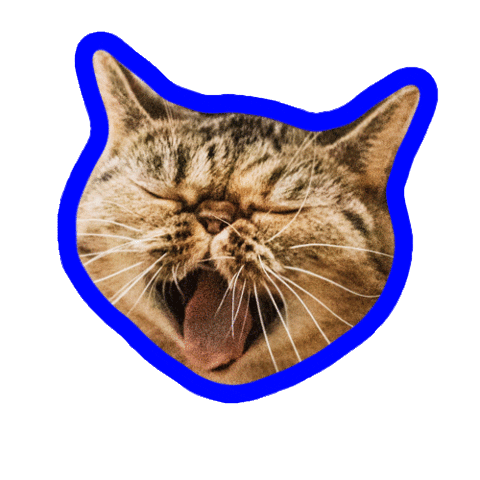 Cat Yawn Sticker for iOS & Android | GIPHY