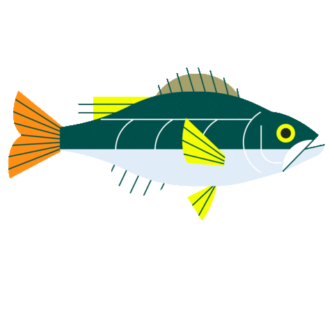 Ocean Fish Sticker by Take Me Fishing for iOS & Android | GIPHY