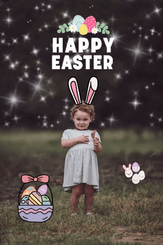 Easter Bunny Chocolate GIF by Reifanzo Photography - Find & Share on GIPHY