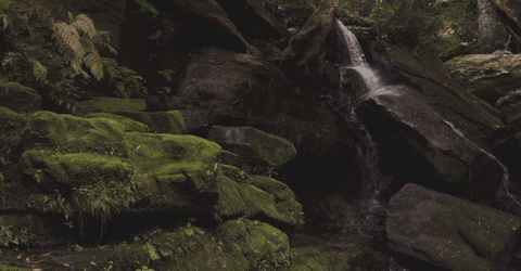 Water GIF - Find & Share on GIPHY