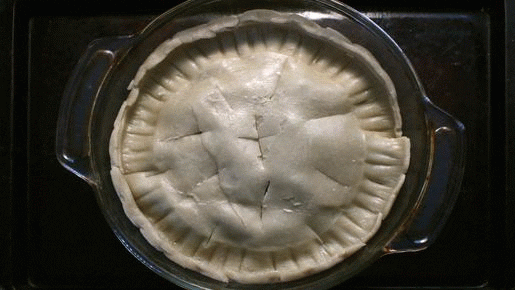 Pie GIF - Find & Share on GIPHY