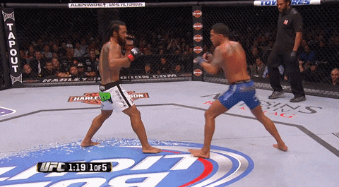 Kick GIF - Find & Share on GIPHY