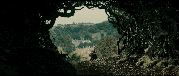 Into The Woods GIF - Find & Share on GIPHY