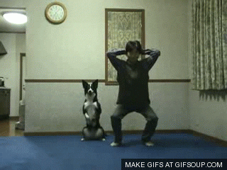 8 Reasons Dogs Are The Best Animals, Don't @ Me Cat People | The ...