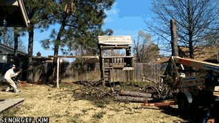 Trees Falling GIF by Cheezburger - Find & Share on GIPHY