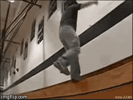 17 Funny Scorpion Fall Gifs Barnorama
