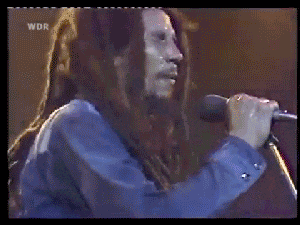 Reggae GIFs - Get the best GIF on GIPHY