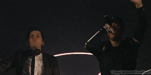 Dillon Francis Trap Music GIF by Flosstradamus - Find & Share on GIPHY