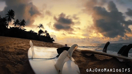 Surfing Internet Gif