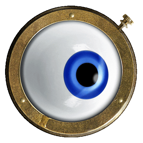 Harry Potter Mad Eye Moody Sticker for iOS & Android | GIPHY