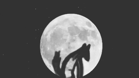 Howling Full Moon GIF by Barbara Pozzi - Find & Share on GIPHY