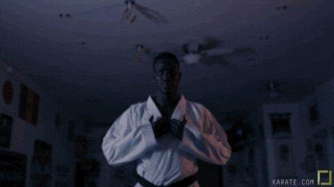 Karate GIF by karatecombat - Find & Share on GIPHY