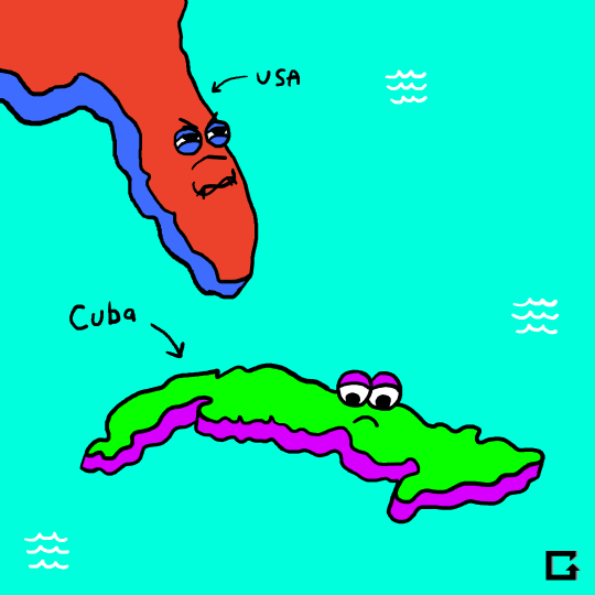 Cuba Beef Squashed Gif By gif - Find & Share on GIPHY