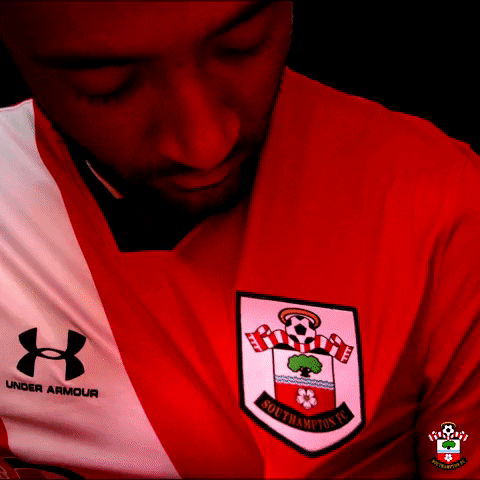 Premier League Football GIF by Southampton FC - Find & Share on GIPHY