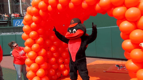 Baltimore Orioles GIF - Find & Share on GIPHY