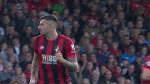 Football Soccer GIF by AFC Bournemouth - Find & Share on GIPHY