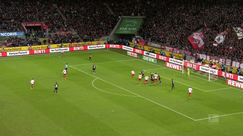 1 Fc Cologne Football GIF by 1. FC Köln - Find & Share on GIPHY