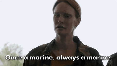 Mark Harmon Gibbs GIF by CBS - Find & Share on GIPHY
