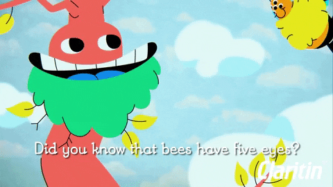 Allergies Allergy GIF by Claritin - Find & Share on GIPHY