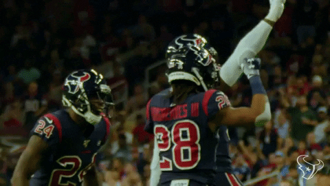 National Football League GIF by Houston Texans - Find & Share on GIPHY