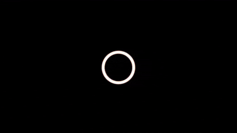 HBC Livry Gargan GIF - Find & Share on GIPHY