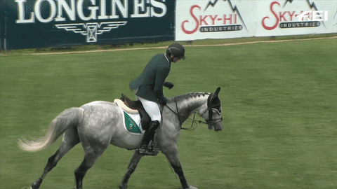 FEI Global GIF - Find & Share on GIPHY