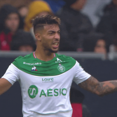Ligue 1 Rage GIF by AS Saint-Étienne - Find & Share on GIPHY