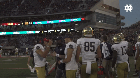 Notre Dame Celebration GIF by Notre Dame Fighting Irish - Find & Share ...