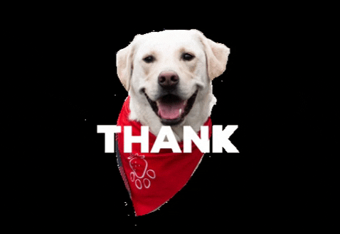 Thank You So Much GIF by Paw-Berries - Find & Share on GIPHY