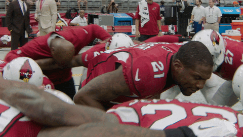 No Fly Zone P2 GIF by Arizona Cardinals - Find & Share on GIPHY