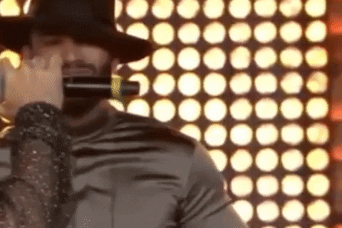 Gusttavo Lima Palmas GIF by CentralDeFãsGusttavoLima - Find & Share on ...