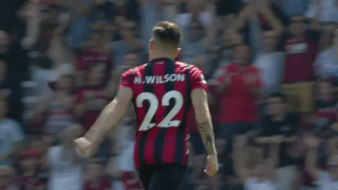 Football Soccer GIF by AFC Bournemouth - Find & Share on GIPHY