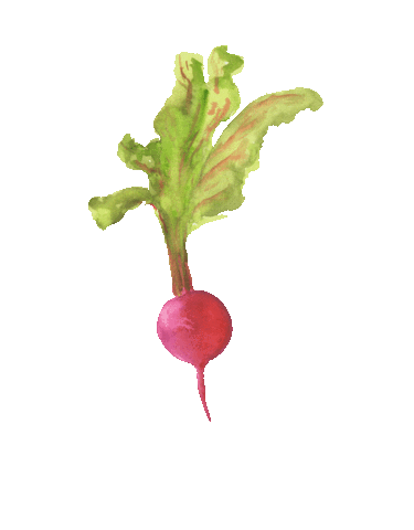 Food Eat Healthy Sticker by Color Snack Creative Studio for iOS ...