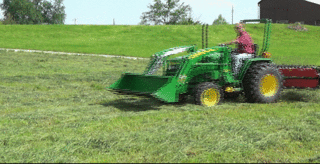 Hay GIF - Find & Share on GIPHY