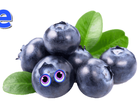 Bar Fruit Sticker by Bastion Agency Studio Lab for iOS & Android | GIPHY