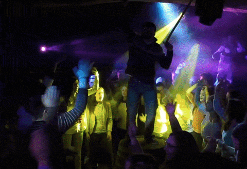 Party GIF - Find & Share on GIPHY