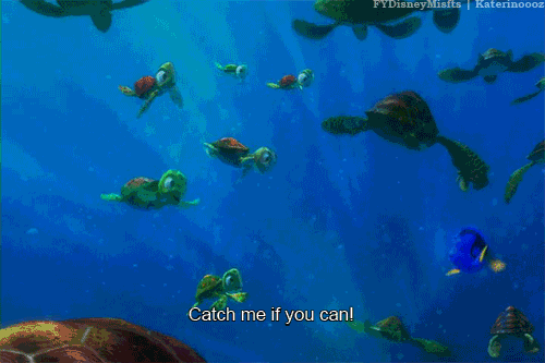 Finding Nemo Disney GIF - Find & Share on GIPHY