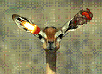 Explosion Deer GIF - Find & Share on GIPHY