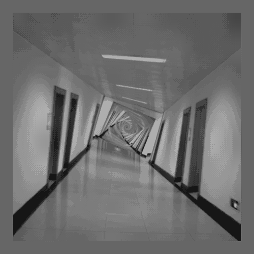 Hallway GIF - Find & Share on GIPHY