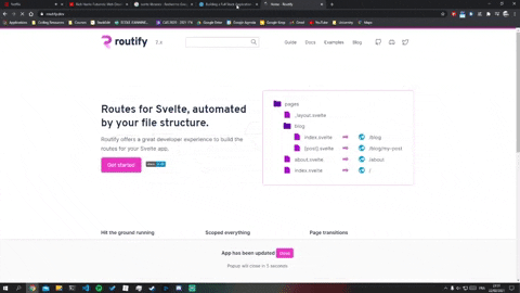 The Routify.dev website is buggy · Issue #336 · roxiness/routify · GitHub
