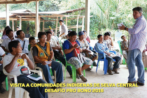 Las alumnas ganadoras del Desafío Pro... - Alianza Pro Bono