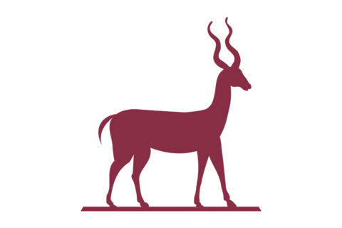 Studio Antelope Sticker for iOS & Android | GIPHY