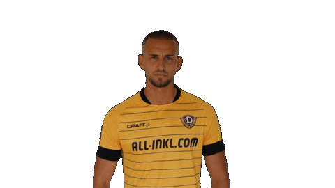 Bundesliga Celebrate Sticker by SG Dynamo Dresden for iOS & Android | GIPHY