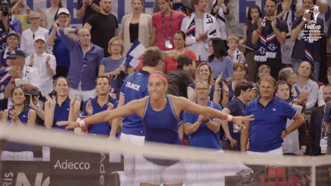 Flying France GIF by Fed Cup by BNP Paribas - Find & Share on GIPHY