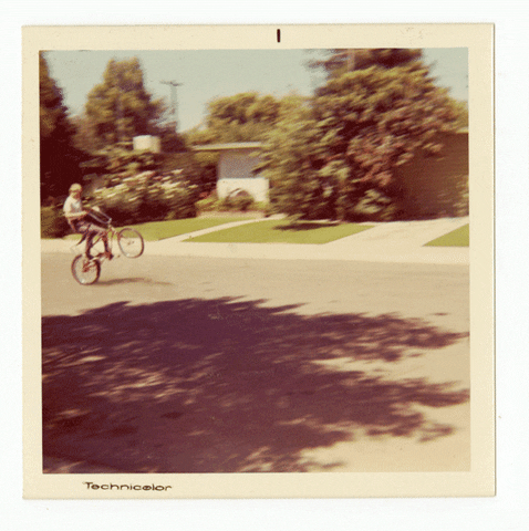 18 Best Instant Cameras in 2024