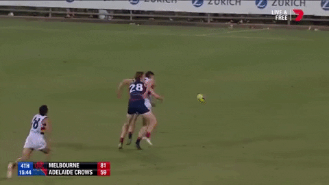 Adelaide Crows GIF - Find & Share on GIPHY